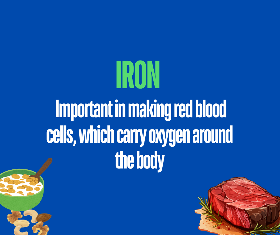 The essential role of Iron in your diet - Healthy.mt
